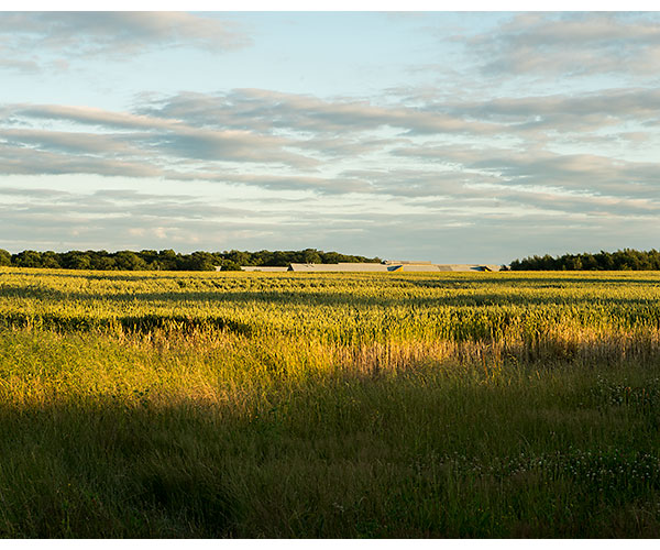 Robert Knight | Photography